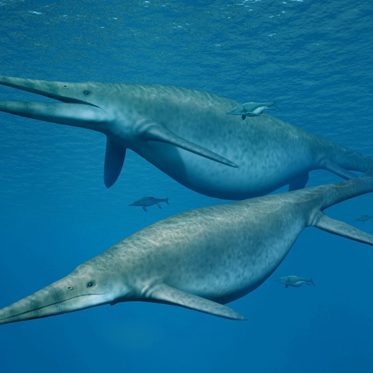 10-მეტრიანი "ზღვის დრაკონი" და უნიკალური აღმოჩენა ბრიტანეთში - Allnews.Ge